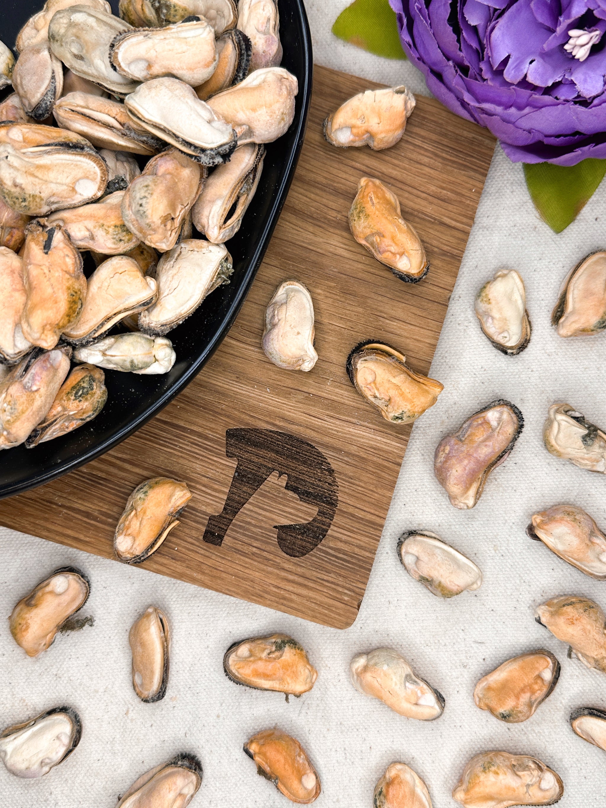 Freeze-dried Blue Mussels